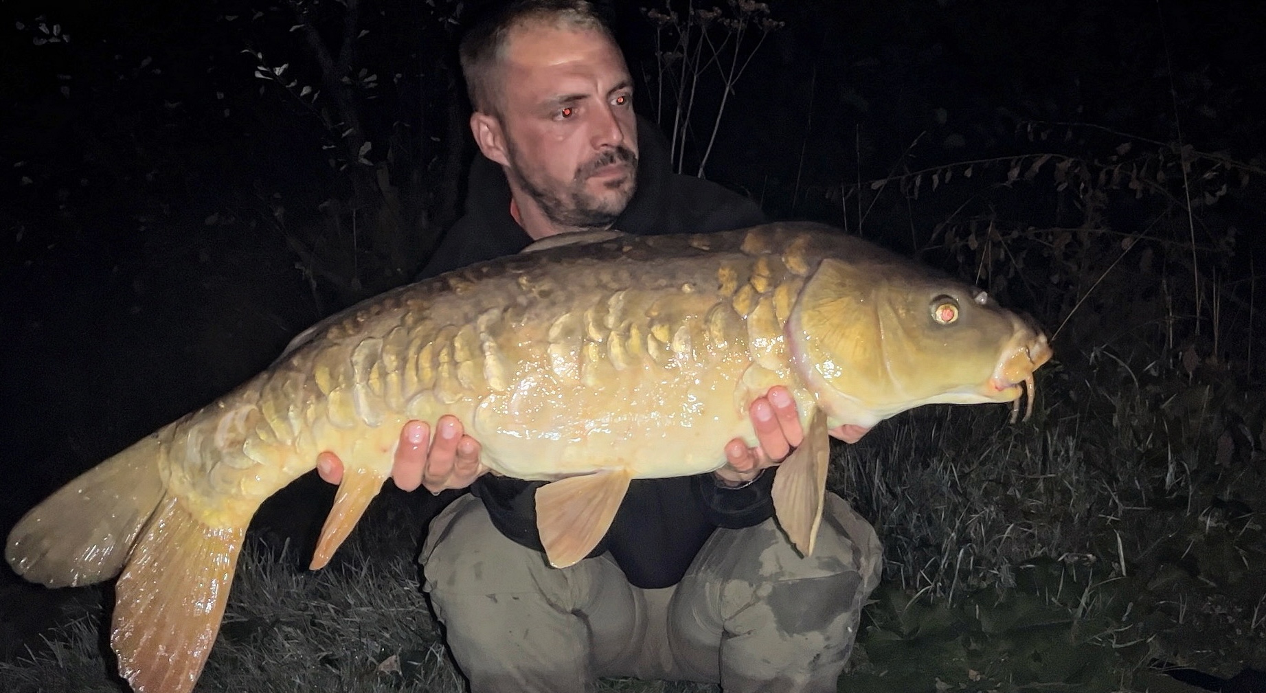 Mirror carp | Total Carp